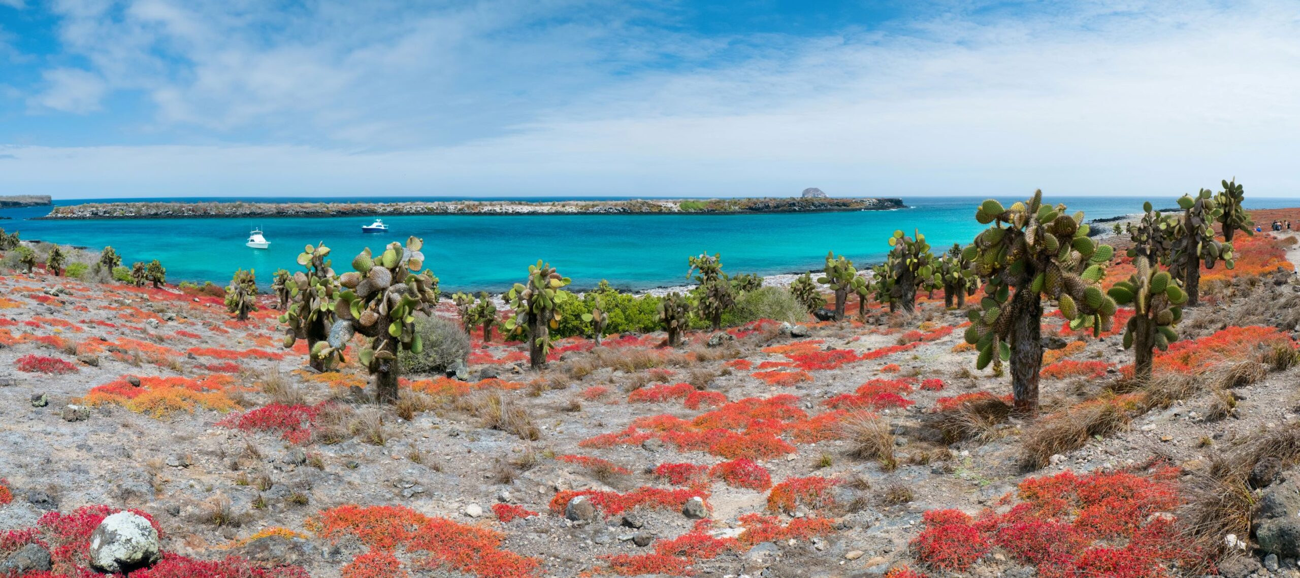 Classic Galapagos: Quito and Southeastern and Western Galapagos Islands ...